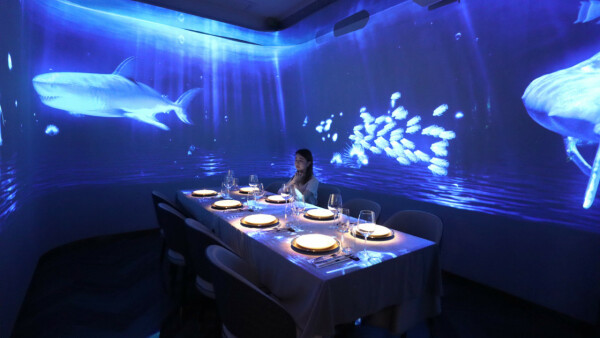 Holographic Projection Restaurant - Shenzhen Smax Screen Co. Limited